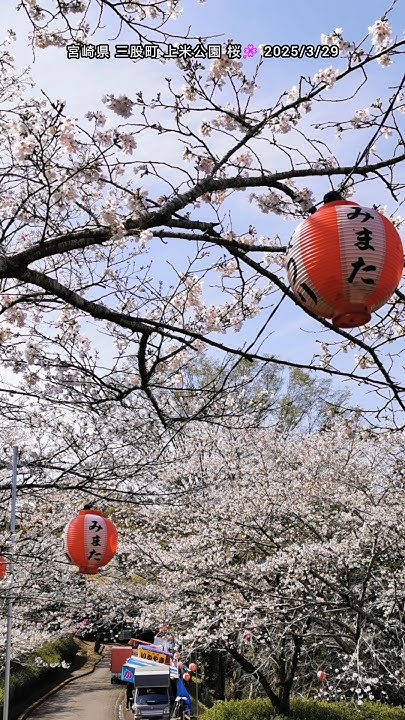 #観光 #宮崎県 #三股町 #上米公園 #桜 2025/3/29 - YouTube
