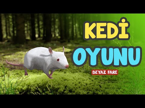 Kedi Oyunu 10 - Fare Yakalama | Kedilerin İzlemesi İçin Eğlenceli Fare Yakalama Videosu 😻