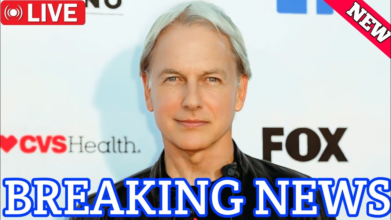 I Don't Think I Would Have Been There' Mark Harmon Shared Why He Said Yes To His Iconic NCIS ...