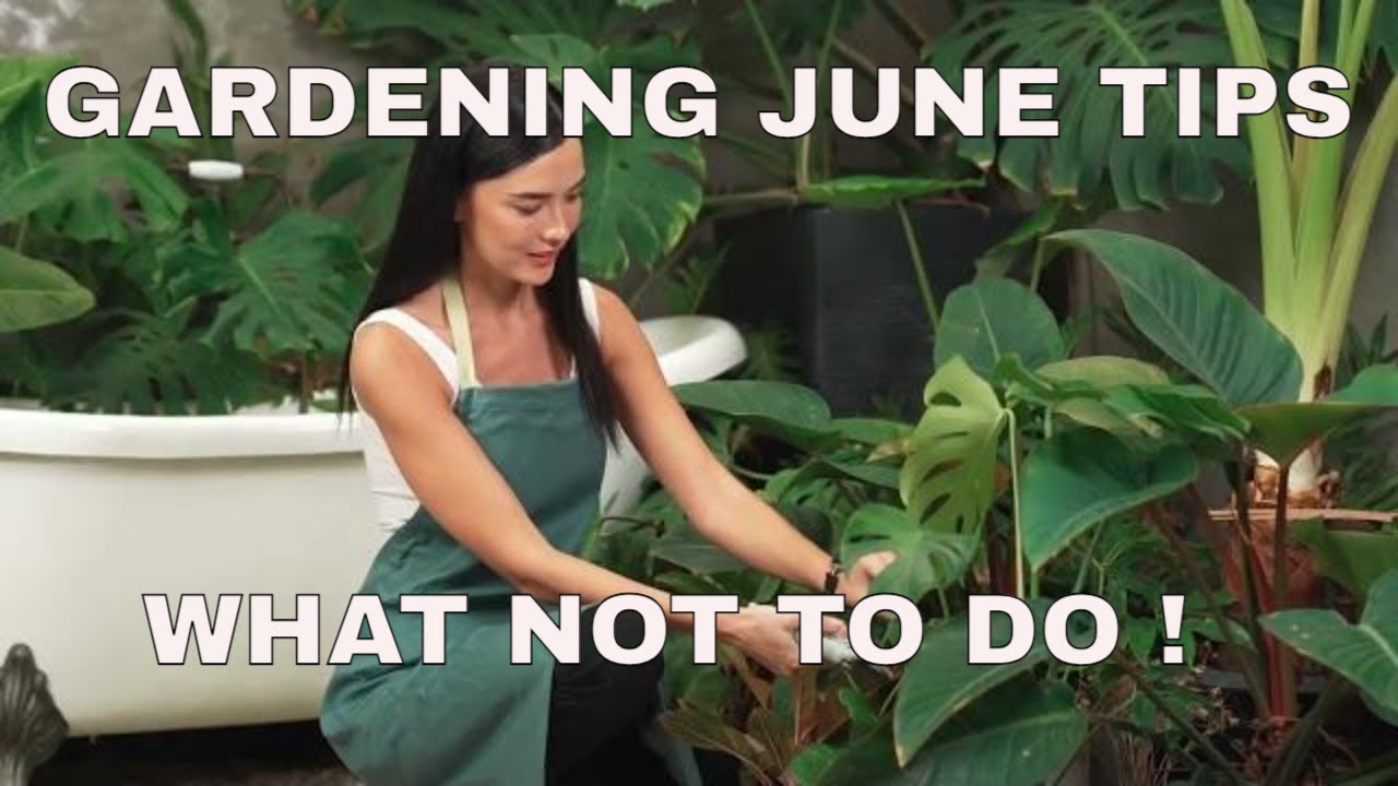 June Gardening Tips What NOT to Do! Pro Pruner Garden Shears - YouTube