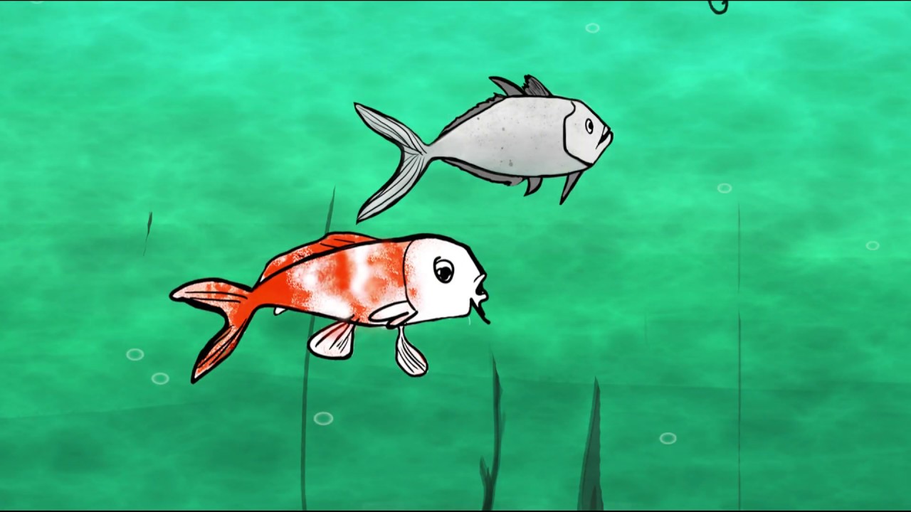 Storyboard animated in Adobe after effects - YouTube