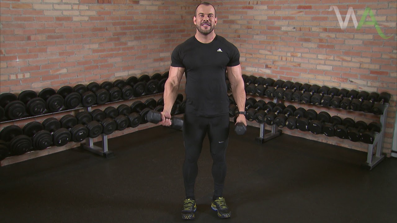 ROSCA BÍCEPS ALTERNADA COM ROTAÇÃO - YouTube