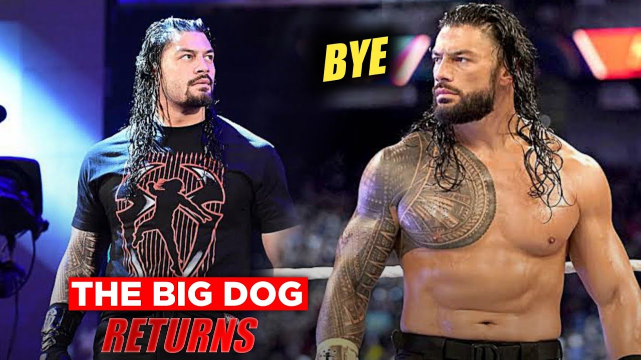 Roman Reigns Dog
