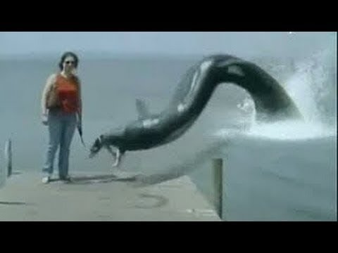 10 CREATURE MITOLOGICHE Catturate in Camera 2018 MOSTRI Mitologici Ripresi in Video 2017