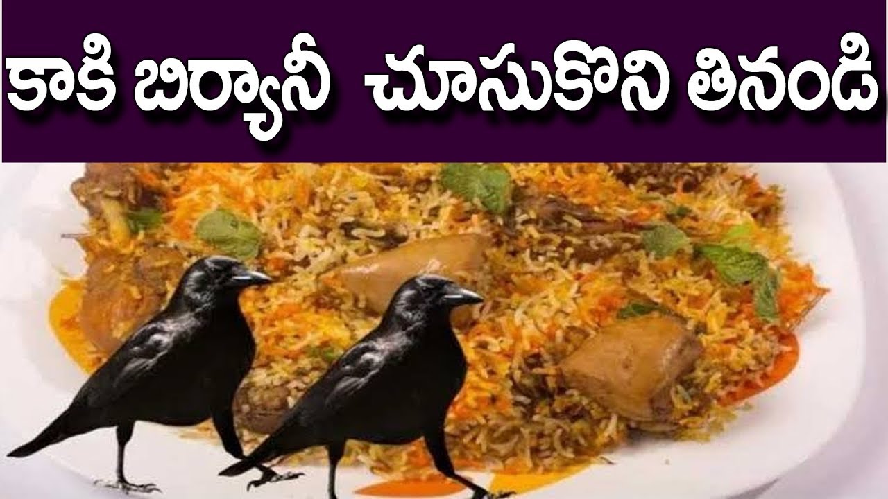 కాకి బిర్యానీ అమ్ముతున్నారు చూసుకొని తినండి | Crow Biryani Serves in ...