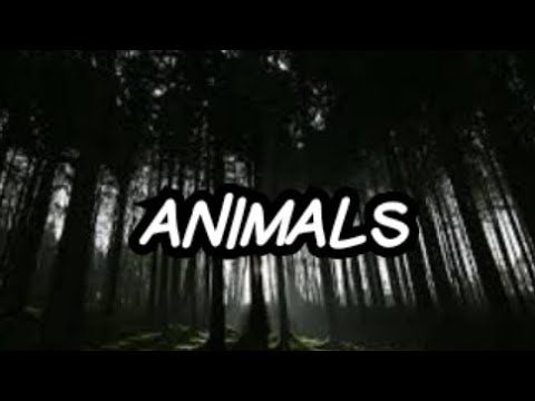 ANIMALS BY MAROON 5 LYRICS - YouTube