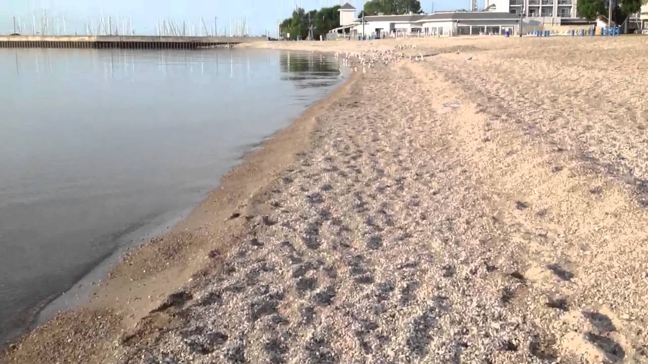 Walking in Gimli Beach - YouTube