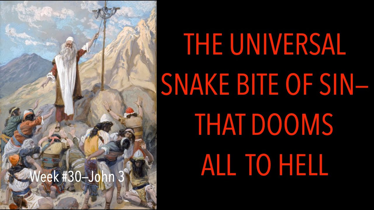 JESUS, NICODEMUS & THE UNIVERSAL SNAKE BITE OF SIN--THAT DOOMS ALL TO ...