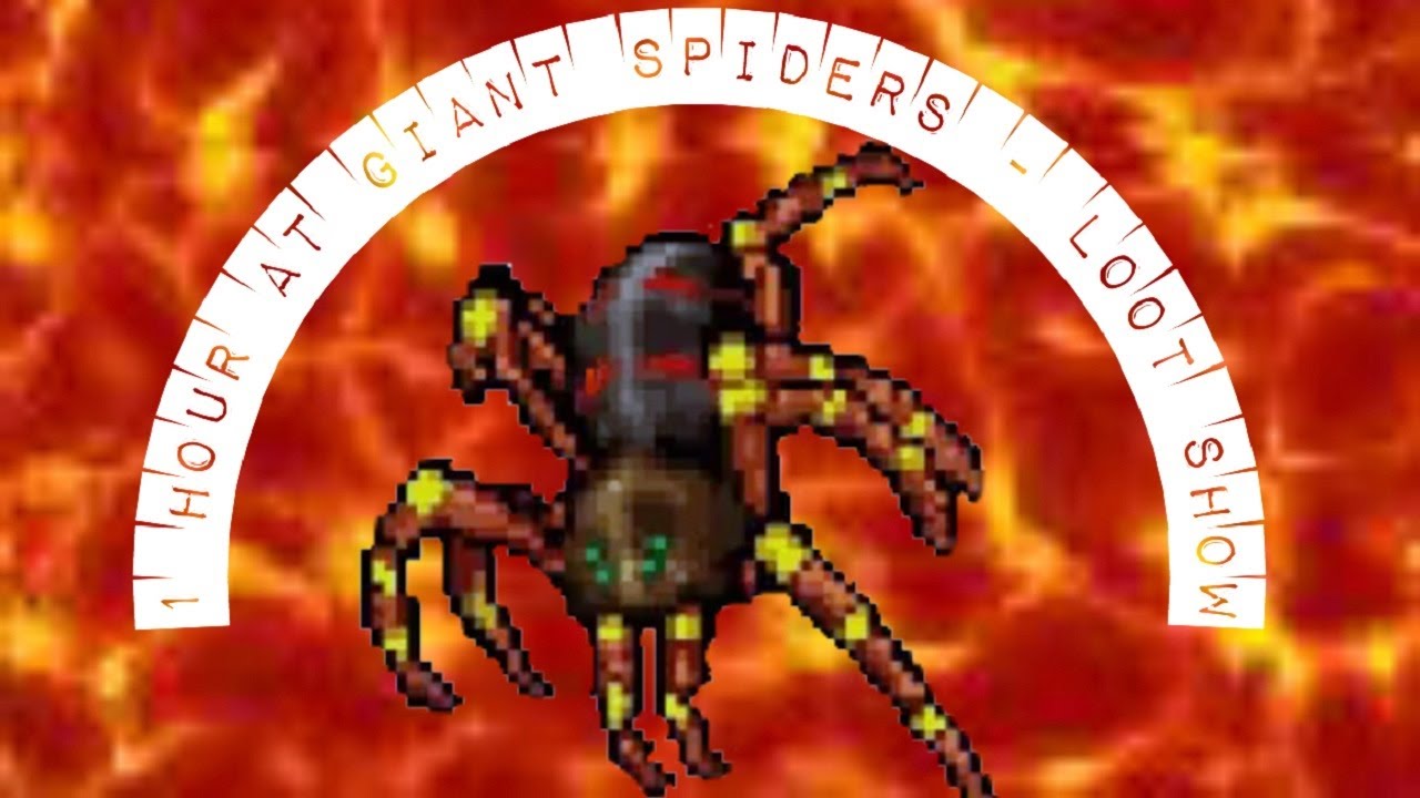 1 Hour Loot At Giant Spiders In Plains Of Havoc [TIBIA] - YouTube