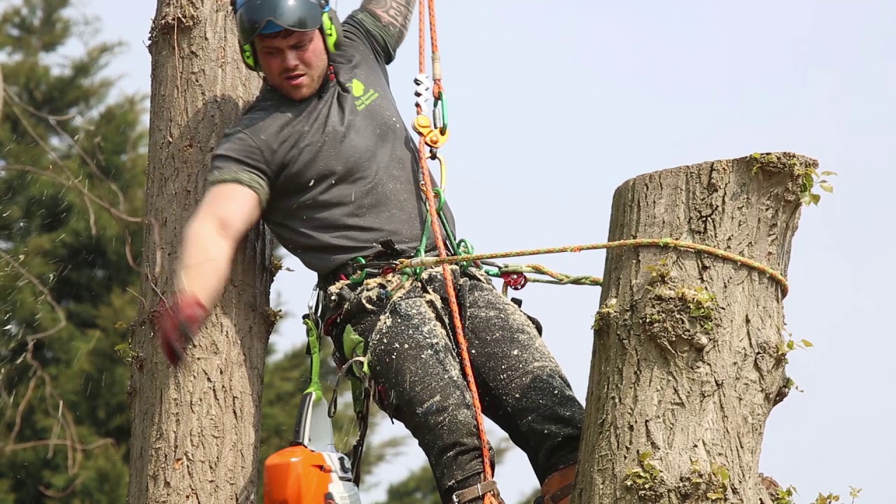 Tom Boswell Tree Services - YouTube