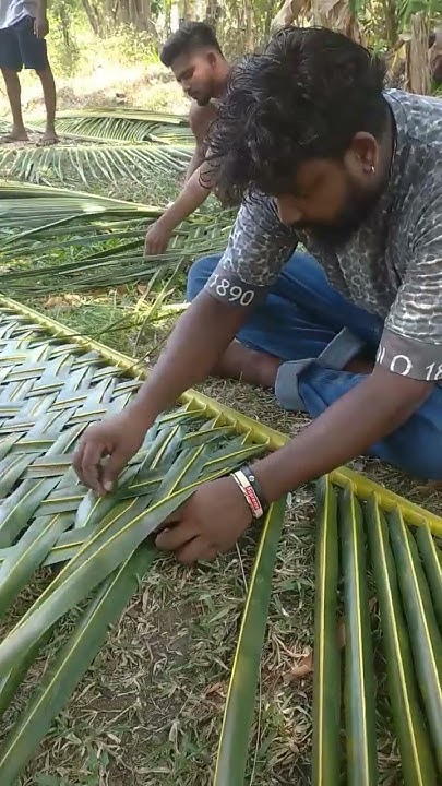 පොල් අතු Youtube