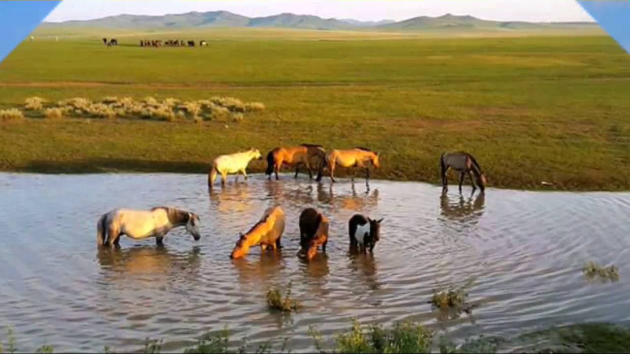 Deed mongol minu - YouTube