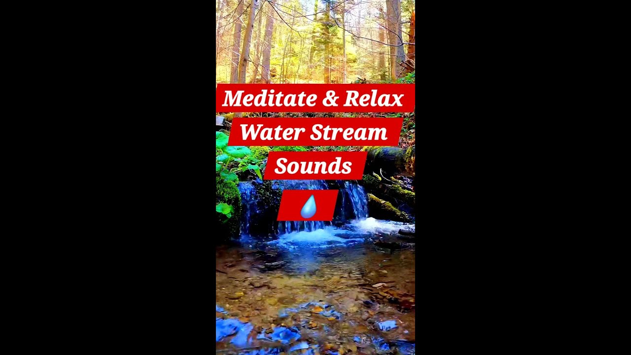 Nature's Serene Water Stream Video | ASMR | Soothing Water Stream ...