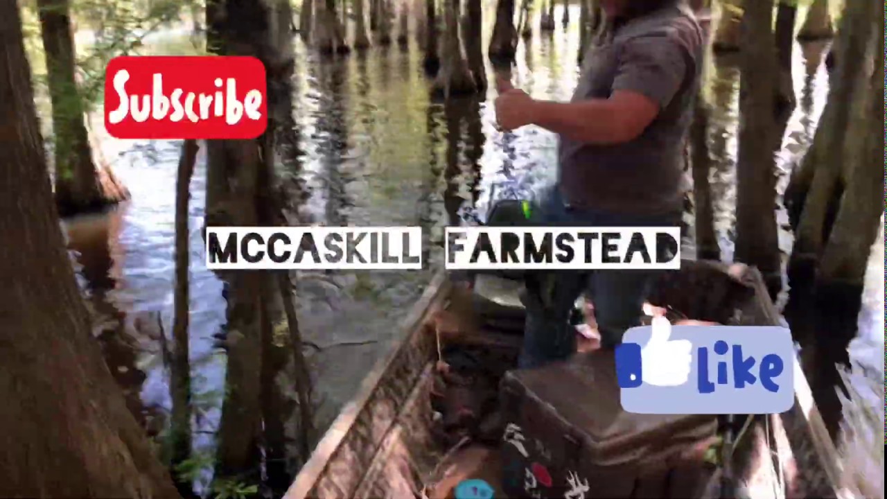 ShellCracker fishing /Santee Cooper - YouTube