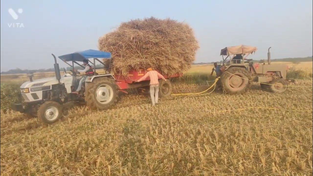 Dhan lod trectar fas gya khet me😱😱 - YouTube