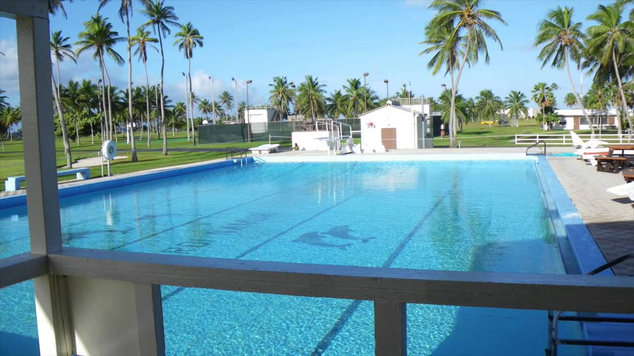 For the Roi Rats - YouTube