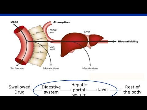 What is First pass metabolism of Drugs ? - YouTube