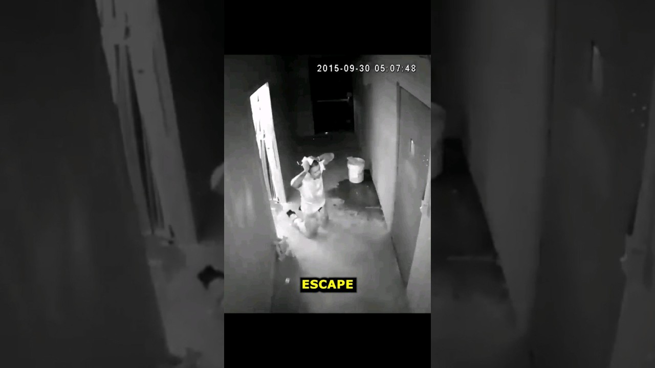 Hilarious Trap Thwarts Burglar! CCTV Captures Epic Fail! 😂 #shorts ...