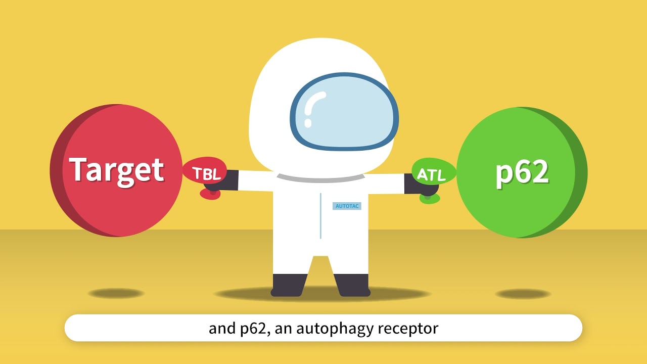 AutotacBio En Full version 1 - YouTube