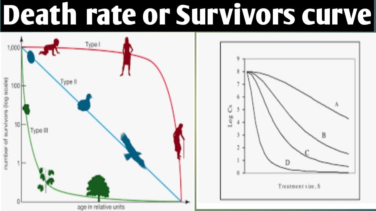 Death Rate| Survivor Curve #jitendrapatel #deathrate #survivorscurve ...