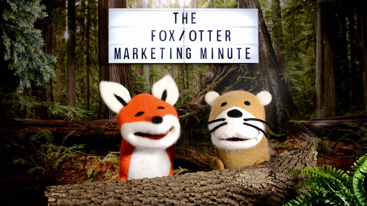 Episode #1: Why a fox and an otter? - YouTube