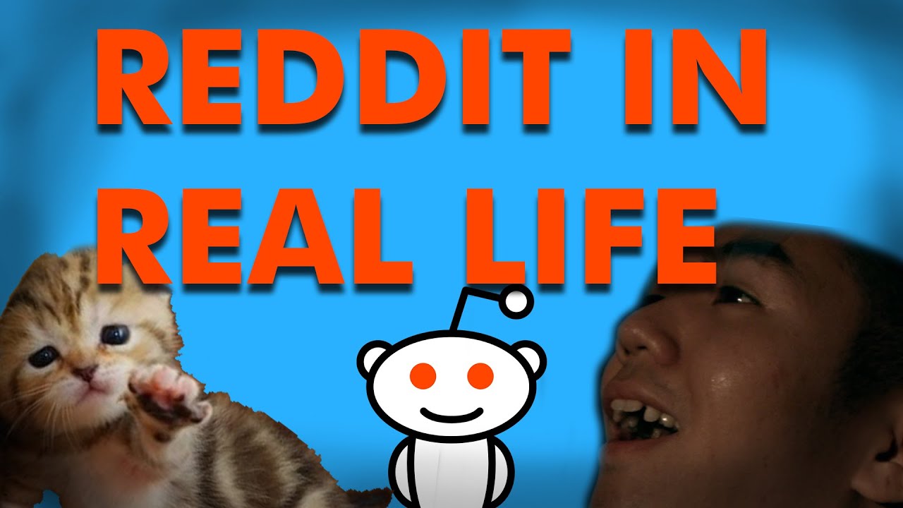Reddit In Real Life - YouTube
