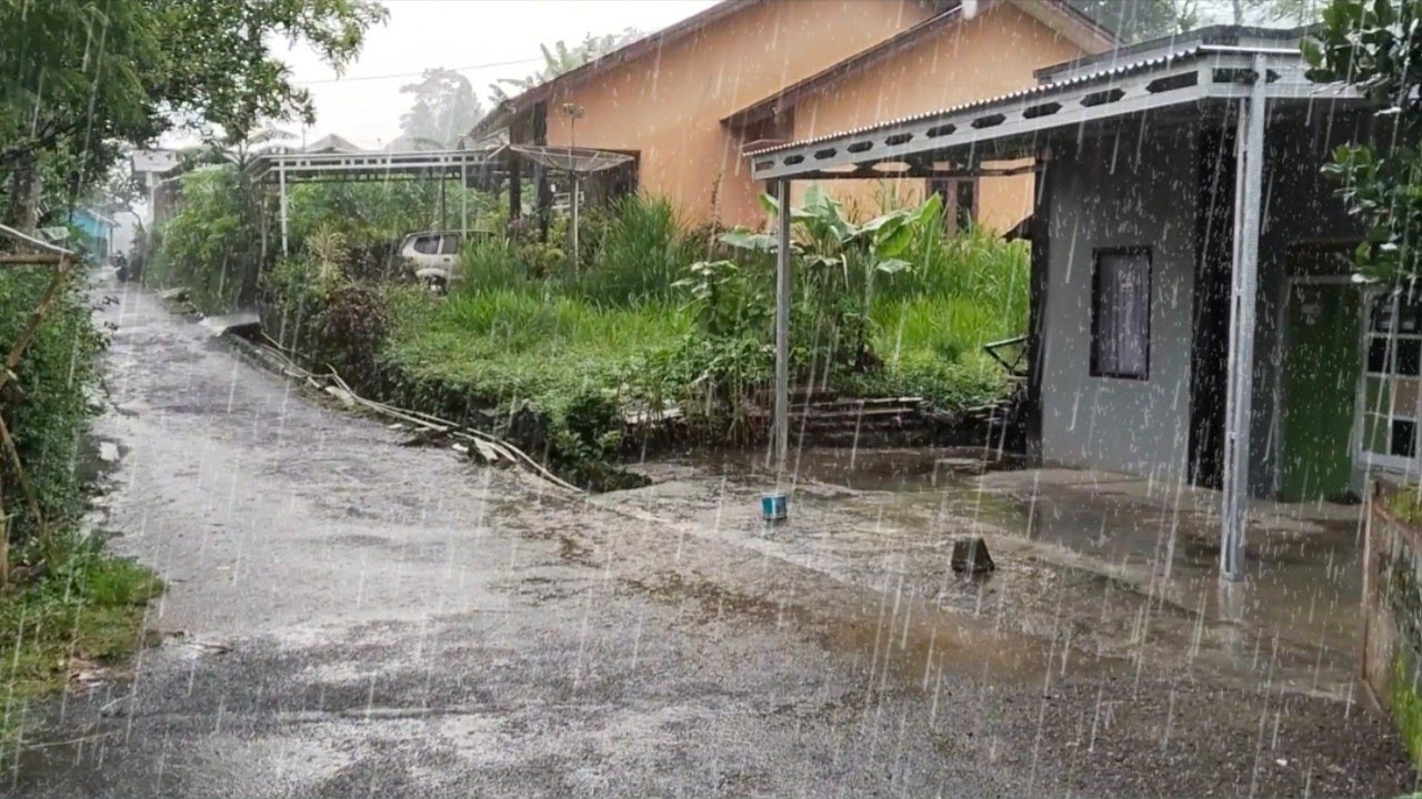 Heavy Rain Hits Rural Mountain java | Rain Sound for Sleeping | asmr rain sound - YouTube