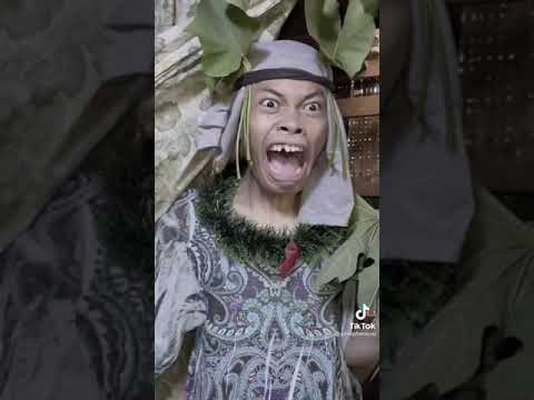 Phlips tanas tiktok funny
