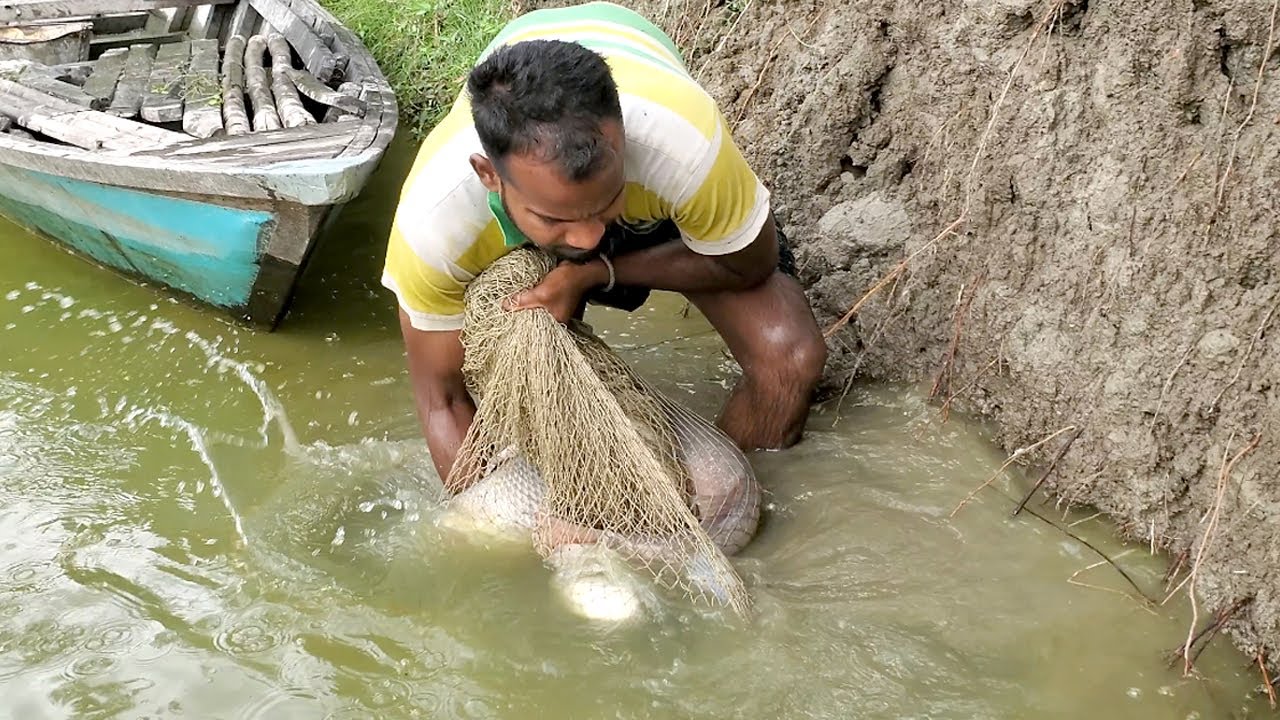 Big Fish Hunting By Cast Net | Amazing Net Fishing With Beautiful ...