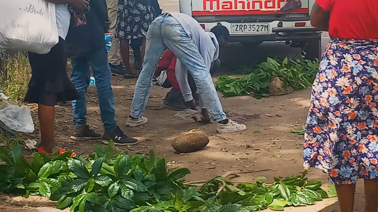 Mufakose : Mahwindi ourayirana 20zig, apo murume otemwa nematombo ...