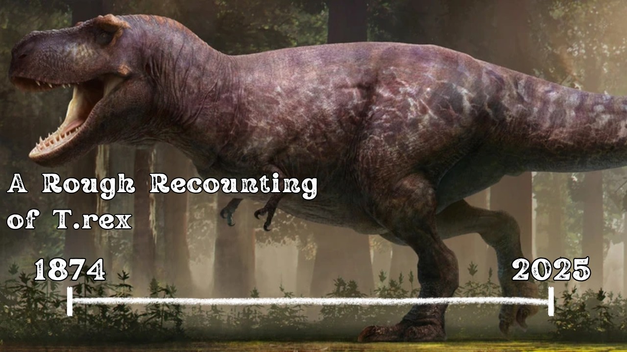 A Rough Recounting of T. Rex - YouTube