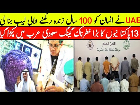 13 Pakistani Arrested In Saudi Arabia For Car Selling Robbery || Info ...