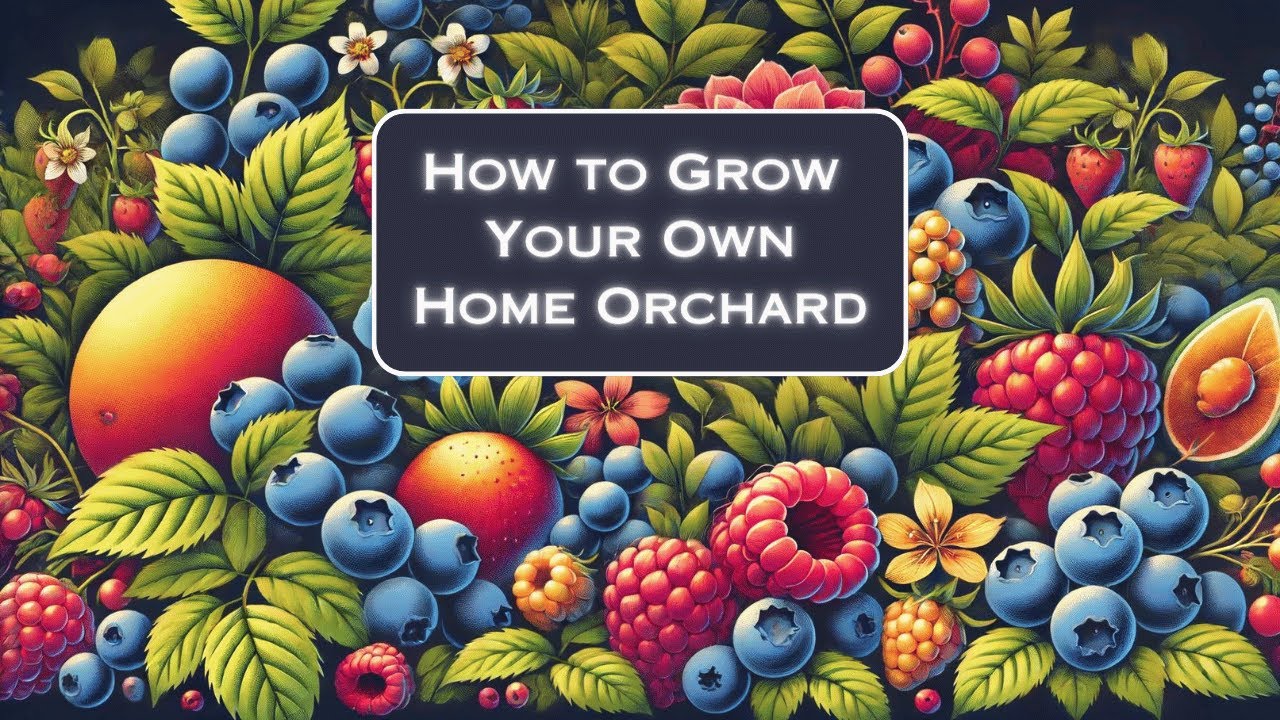 Plant Nursery | Landscape Design | Wasco Nursery Garden Center