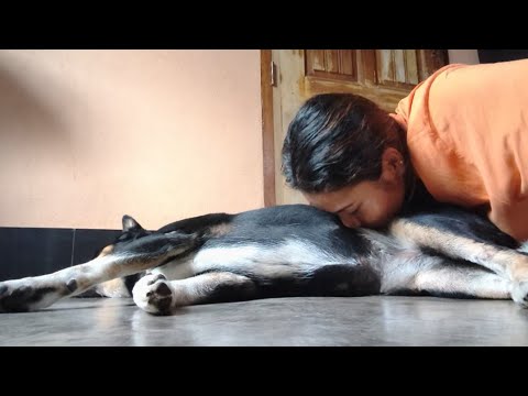 My Sweet Dog Asking for a Morning Belly Rub and Getting a Belly Kiss 🐶 Happy & Funny