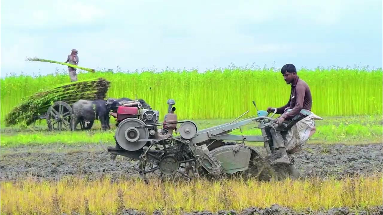 Power Tiller Working in the Field | Full Cultivation | Labonno Recipe - YouTube