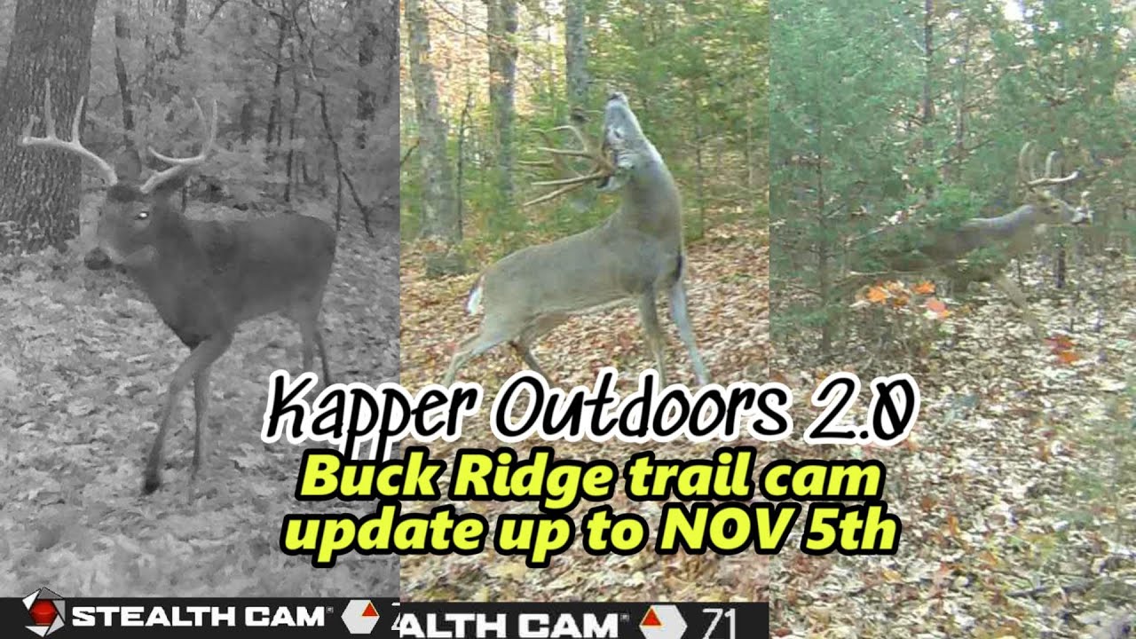 Missouri Ozark's Trail cam update Buck Ridge=Buck action! - YouTube