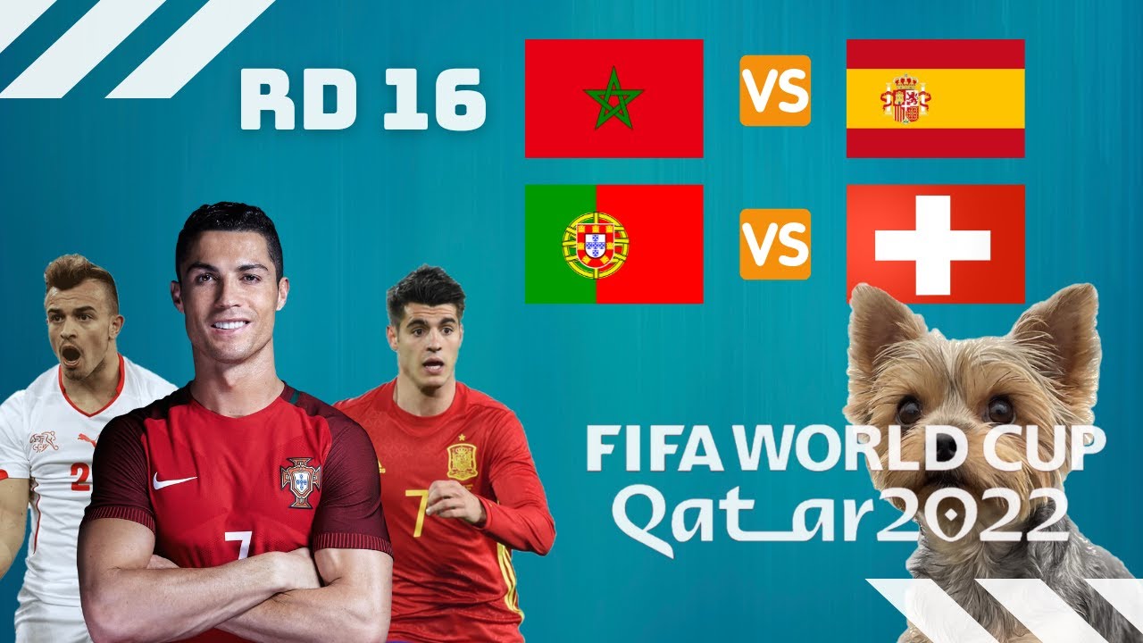Dog World Cup 2022 Prediction 🐶 Morocco VS Spain ⚽ Portugal VS ...