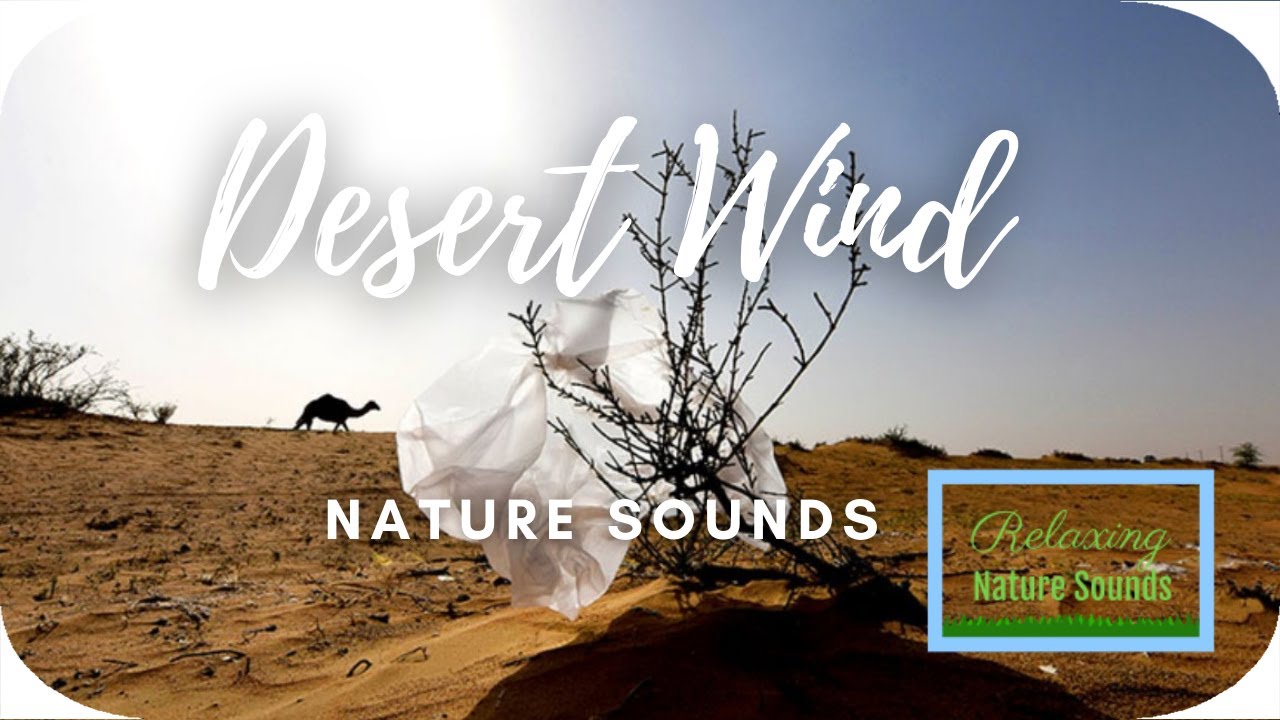 💨 Desert Wind Sounds for Sleeping with Plastic Bag | How to Relax Fast ...
