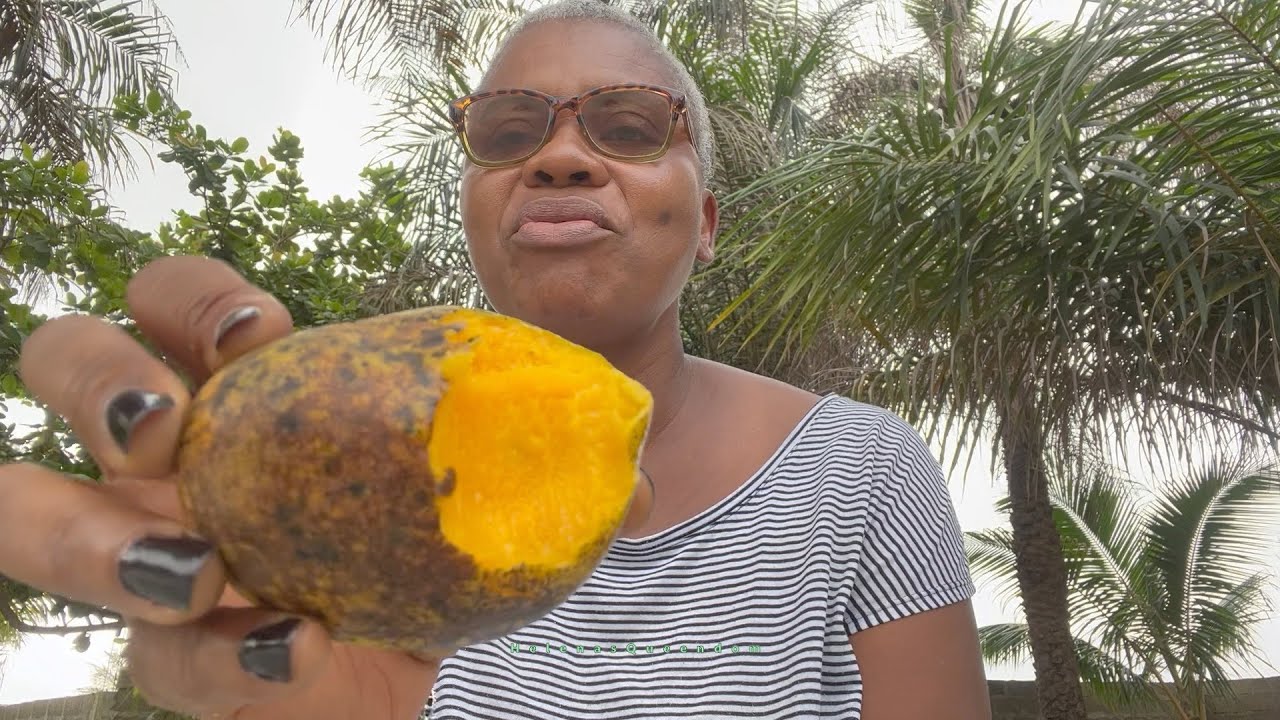 EATING SWEET MANGO FOR BREAKFAST STRAIGHT FROM THE TREE | LIBERIA 2022 ...