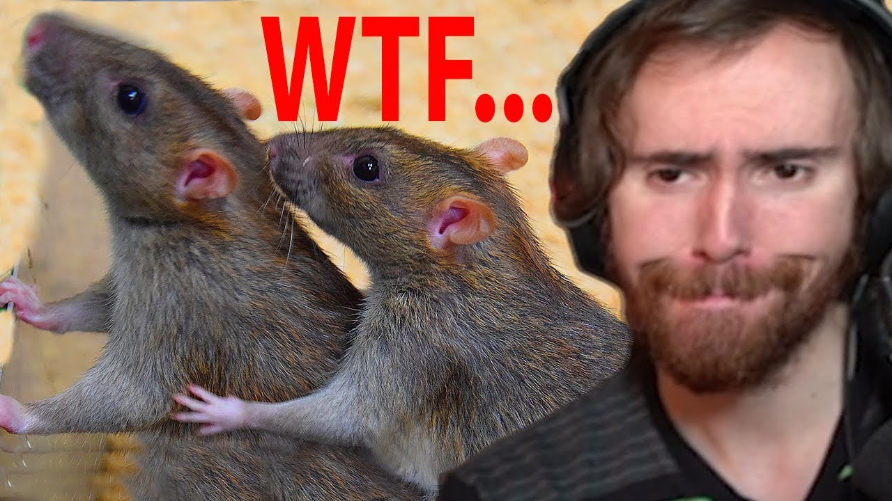 Asmongolds Most DISGUSTING STORY EVER.... - YouTube