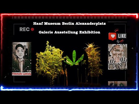 Hanf Museum Berlin Alexanderplatz I Galerie Ausstellung Exhibition ...