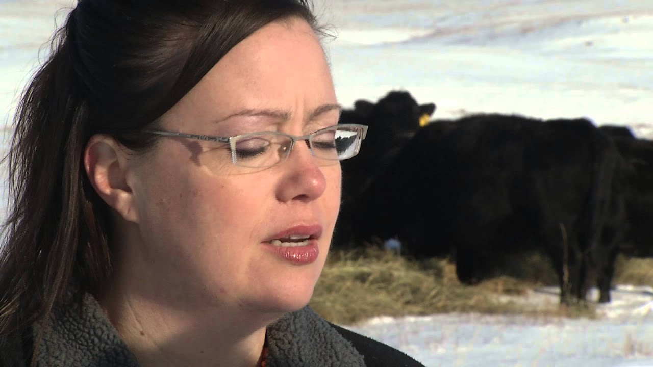 Strommen Family Ranch - YouTube