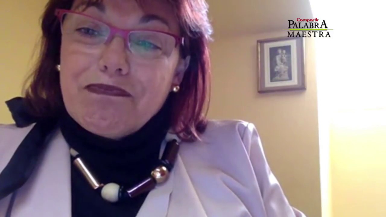 ¿Qué es la Plataforma Internacional Práctica Reflexiva? Responde Àngels ...