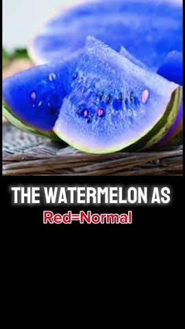 Eye Test What Color is the Watermelon? #memes #memesfunny - YouTube