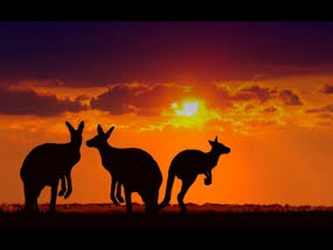 Australian Sunrise - YouTube