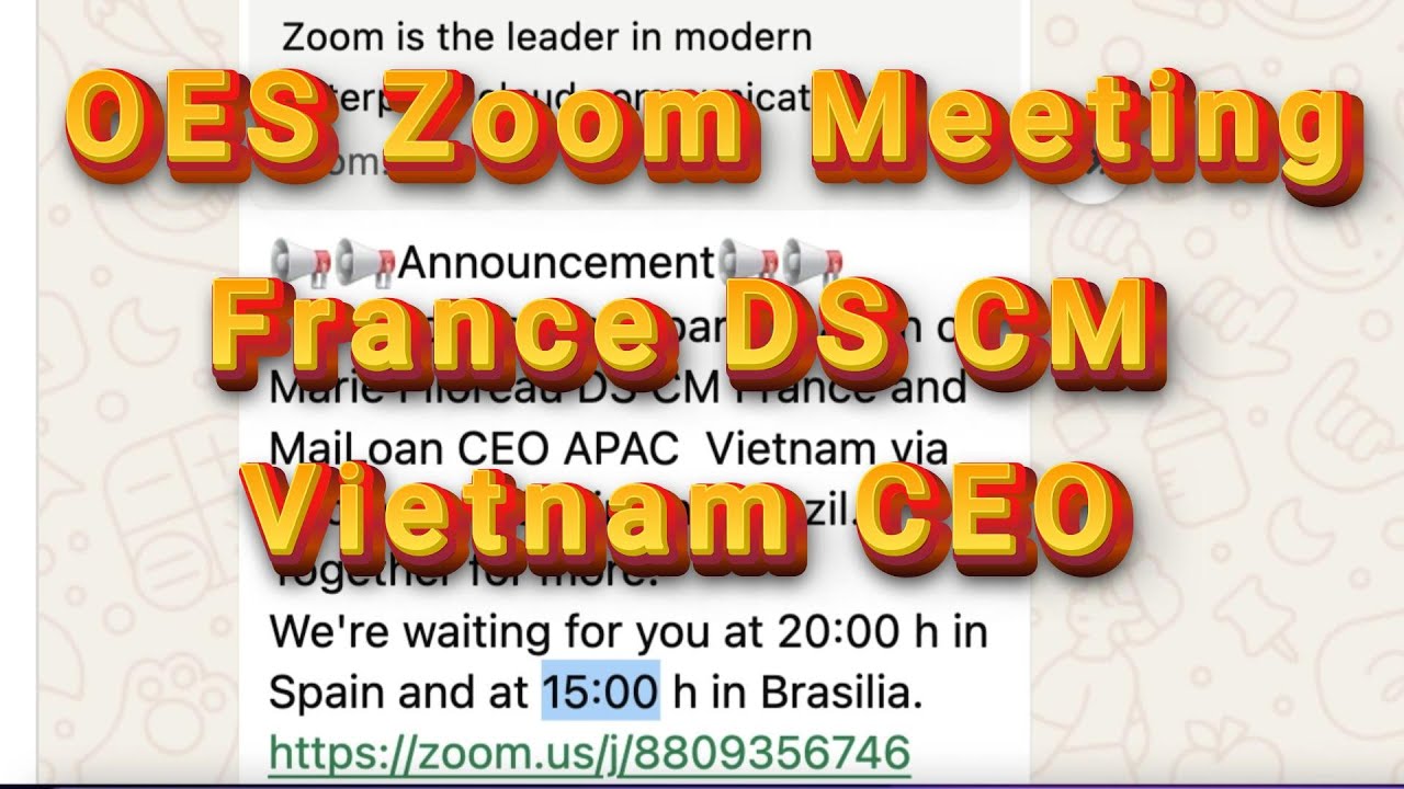 OES Zoom Meeting France DS CM And Vietnam CEO - YouTube