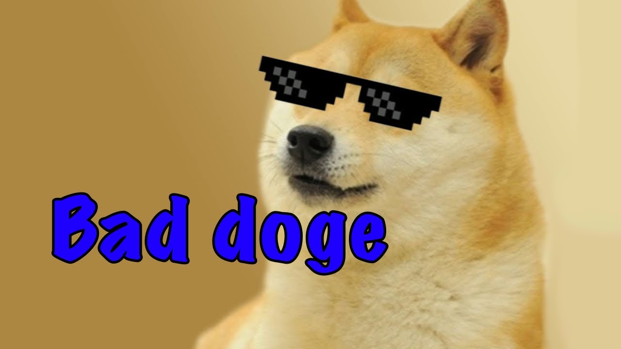 BAD DOGE! - YouTube