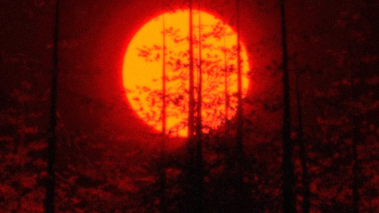 NETUH - ECHO CHAMBER - YouTube