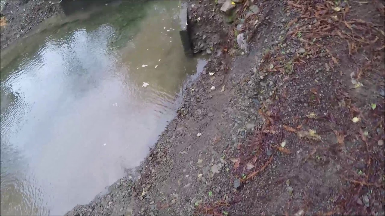 Draining The Dam - YouTube