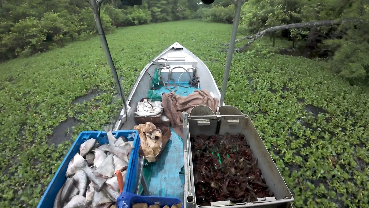 Crawfishing the basin eps 8 - YouTube